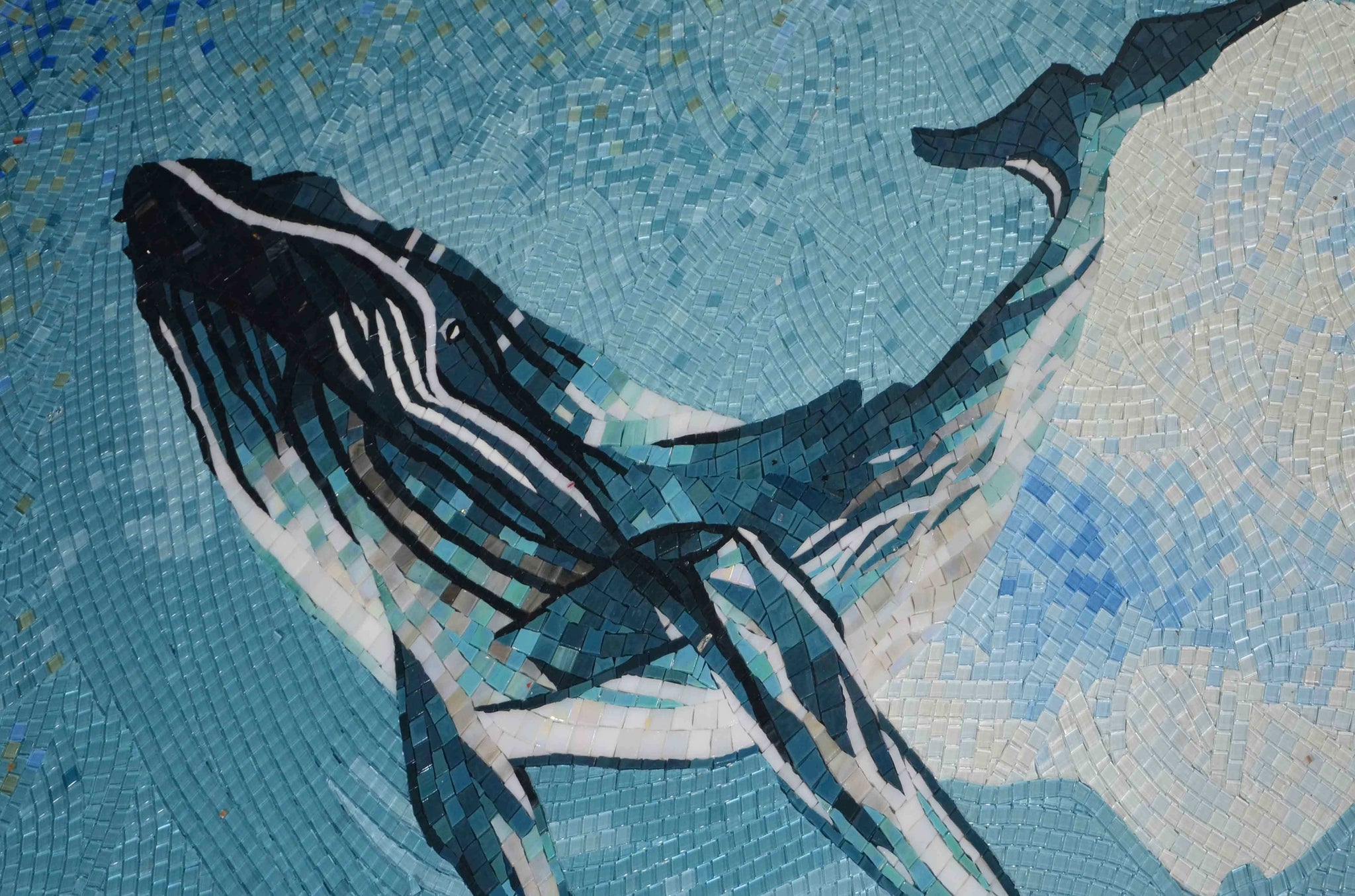 Glass Mosaic Tile Art - Giant Whale | Mozaico