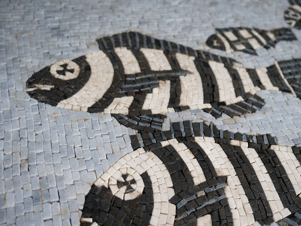 Zebra Fish Mosaic Art | Animals | Mozaico