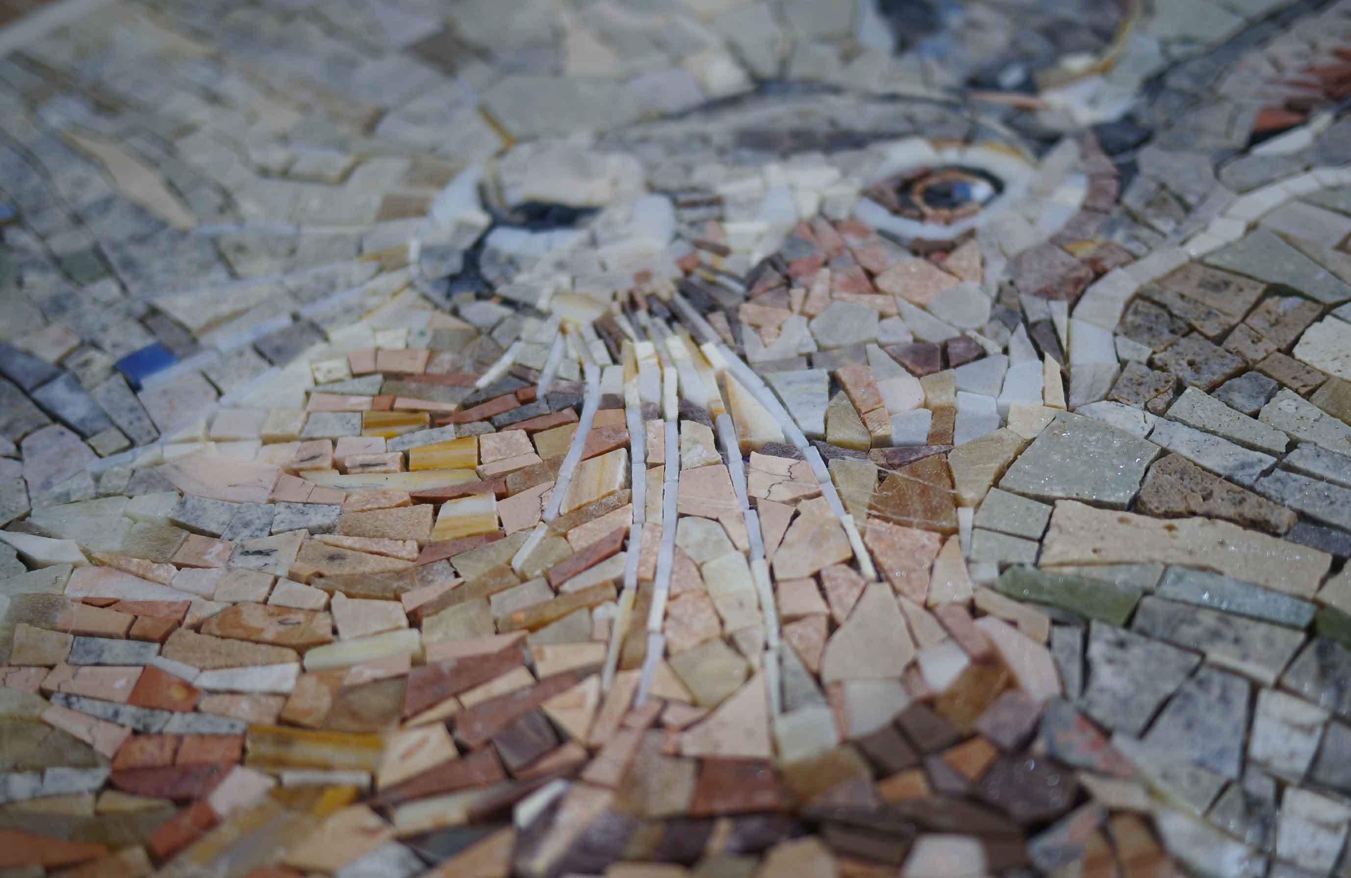 Mosaic Art - Max The Rabbit | Animals | Mozaico