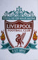 Liverpool FC Custom Mosaic Art - Unique Wall Decor – Mozaico